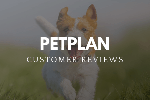 Petplan Customer Reviews » The Pet Insurance Guide