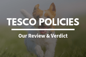 Tesco Pet Insurance Policies Review » The Pet Insurance Guide